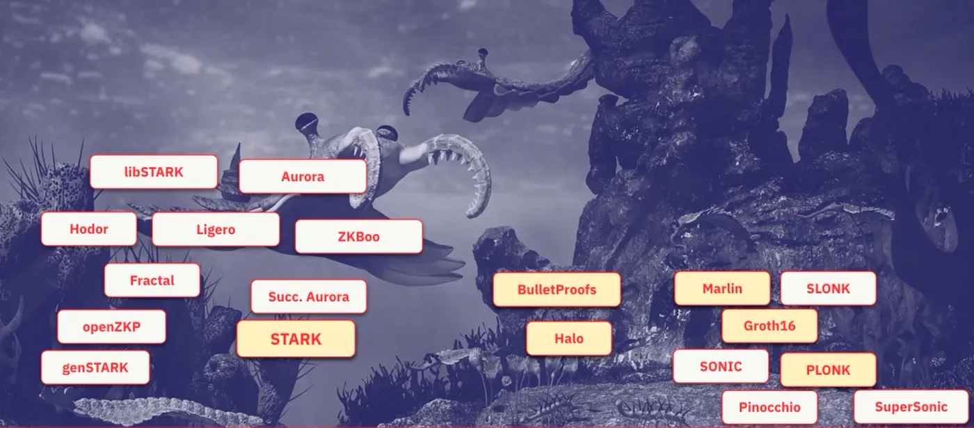 Cambrian Explosion of Cryptographic Proofs | StarkWare